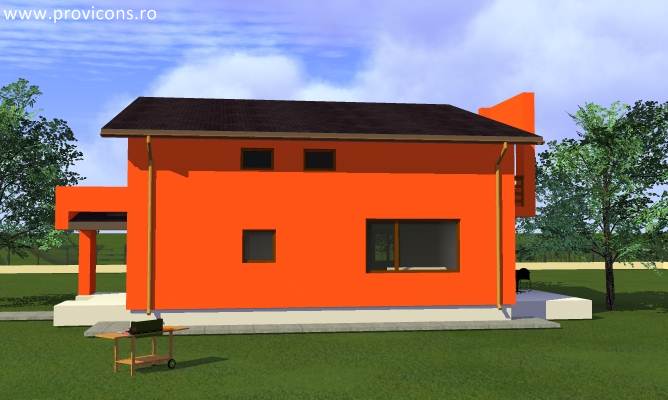 SCHITE PLANURI CASE GRATIS