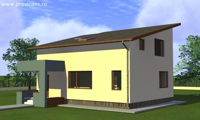 SCHITE PLANURI CASE GRATIS