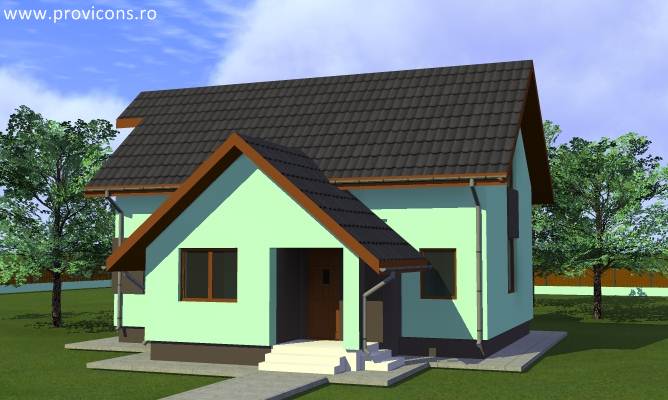 SCHITE PLANURI CASE GRATIS